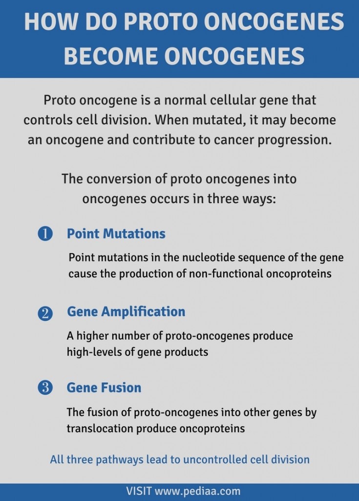 How Do Proto Oncogenes Become Oncogenes - Pediaa.Com