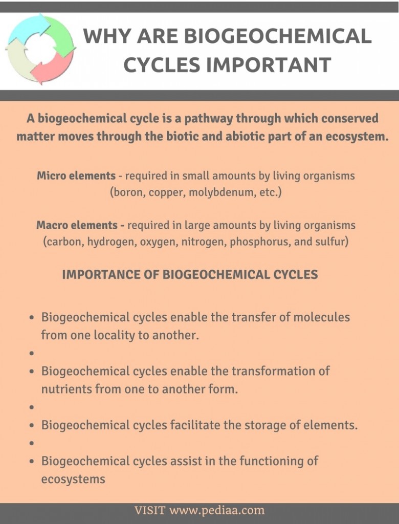 Why are Biogeochemical Cycles Important - Pediaa.Com