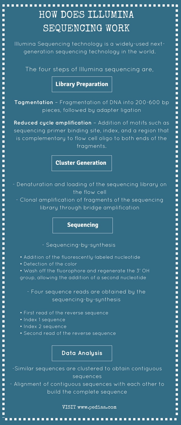 How Does Illumina Sequencing Work - Pediaa.Com