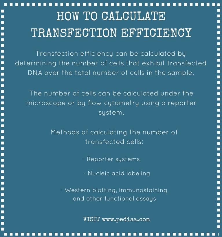 How to Calculate Transfection Efficiency - Pediaa.Com