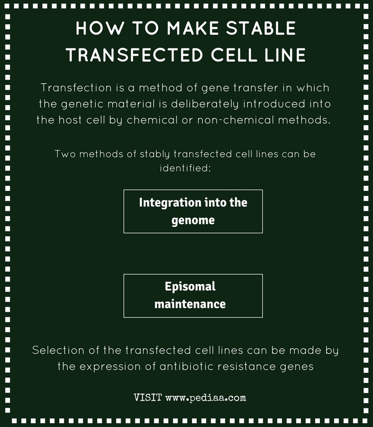 How to Make Stable Transfected Cell Line - Pediaa.Com