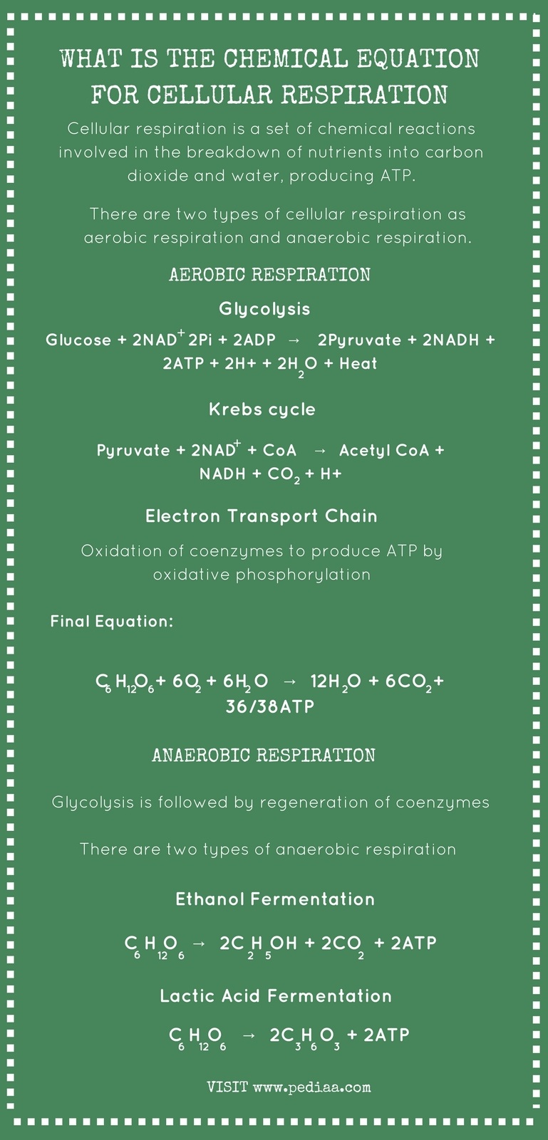 What Is The Chemical Equation For Cellular Respiration Pediaa Com What Is The Chemical Equation For Cellular Respiration Pediaa Com
