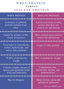 Difference Between Whey Protein and Isolate Protein - Pediaa.Com