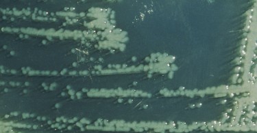 Pediaa.Com - Page 283 of 645 - Know about Anything