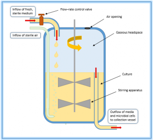 Difference Between Chemostat and Turbidostat - Pediaa.Com