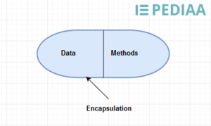 Difference Between Data Abstraction and Encapsulation - Pediaa.Com