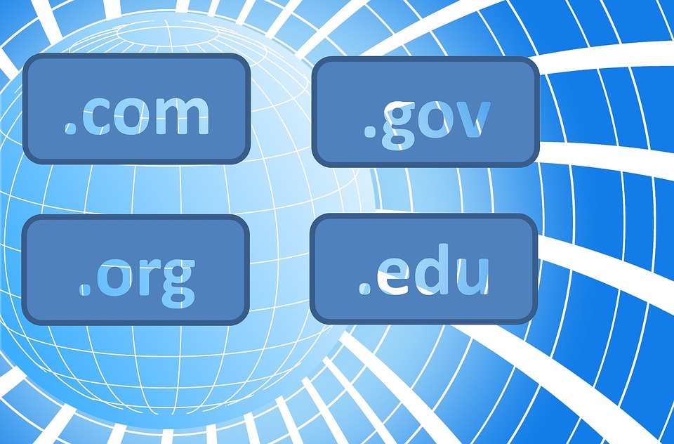 Difference Between URL And Domain Name Pediaa Com