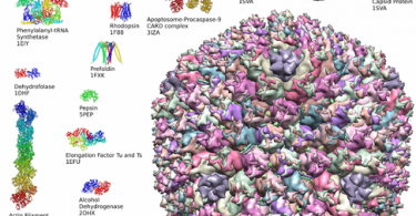 Pediaa.Com - Page 310 of 680 - Know about Anything