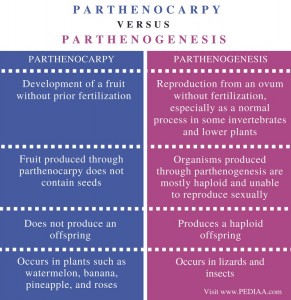 Difference Between Parthenocarpy and Parthenogenesis - Pediaa.Com