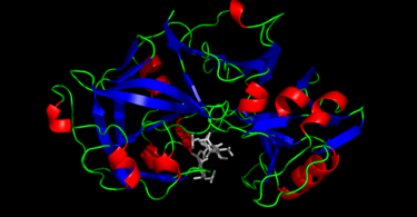 Pediaa.Com - Page 307 of 688 - Know about Anything