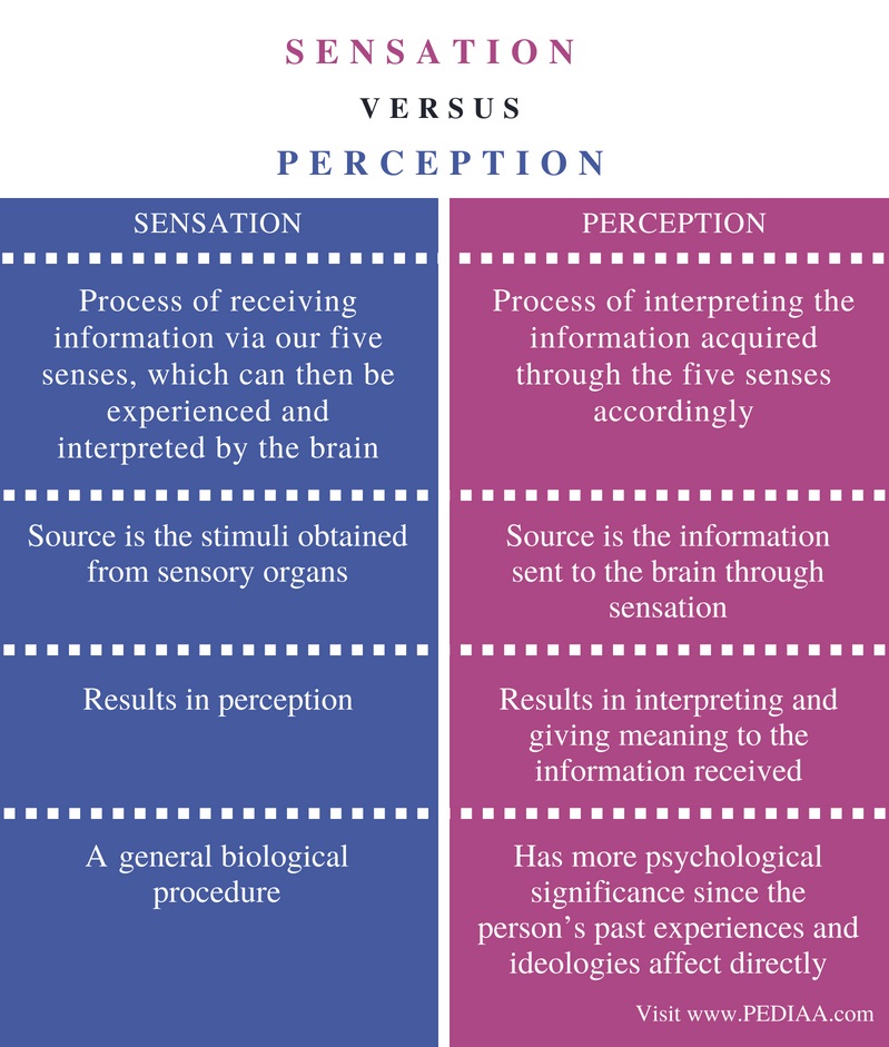 Difference Between Sensation And Perception Pediaa Com