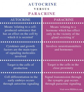 What is the Difference Between Autocrine and Paracrine - Pediaa.Com