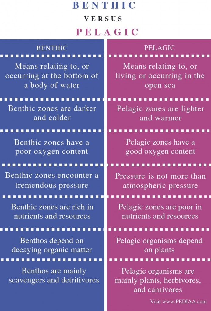 Difference Between Benthic and Pelagic - Pediaa.Com