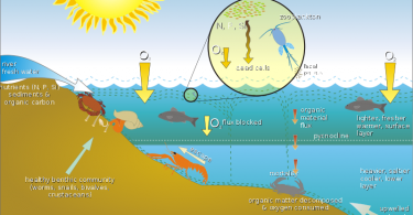 Pediaa.Com - Page 220 of 614 - Know about Anything