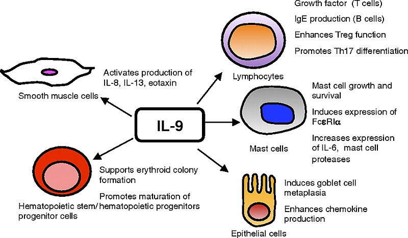 What is the Difference Between Cytokines and Interleukins - Pediaa.Com What is the Difference Between Cytokines and Interleukins - Pediaa.Com