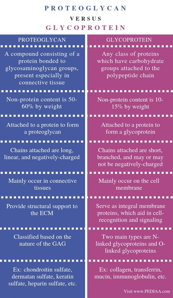 Difference Between Proteoglycan and Glycoprotein - Pediaa.Com