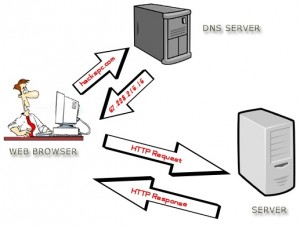 What is the Difference Between DNS and DHCP Server - Pediaa.Com