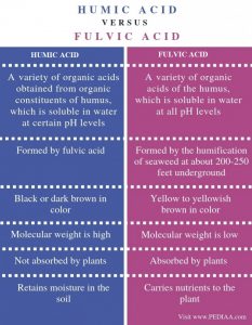 What is the Difference Between Humic and Fulvic Acid - Pediaa.Com