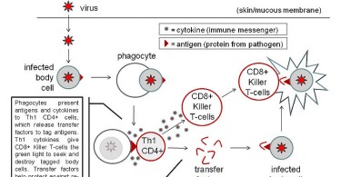 Pediaa.Com - Page 202 of 611 - Know about Anything