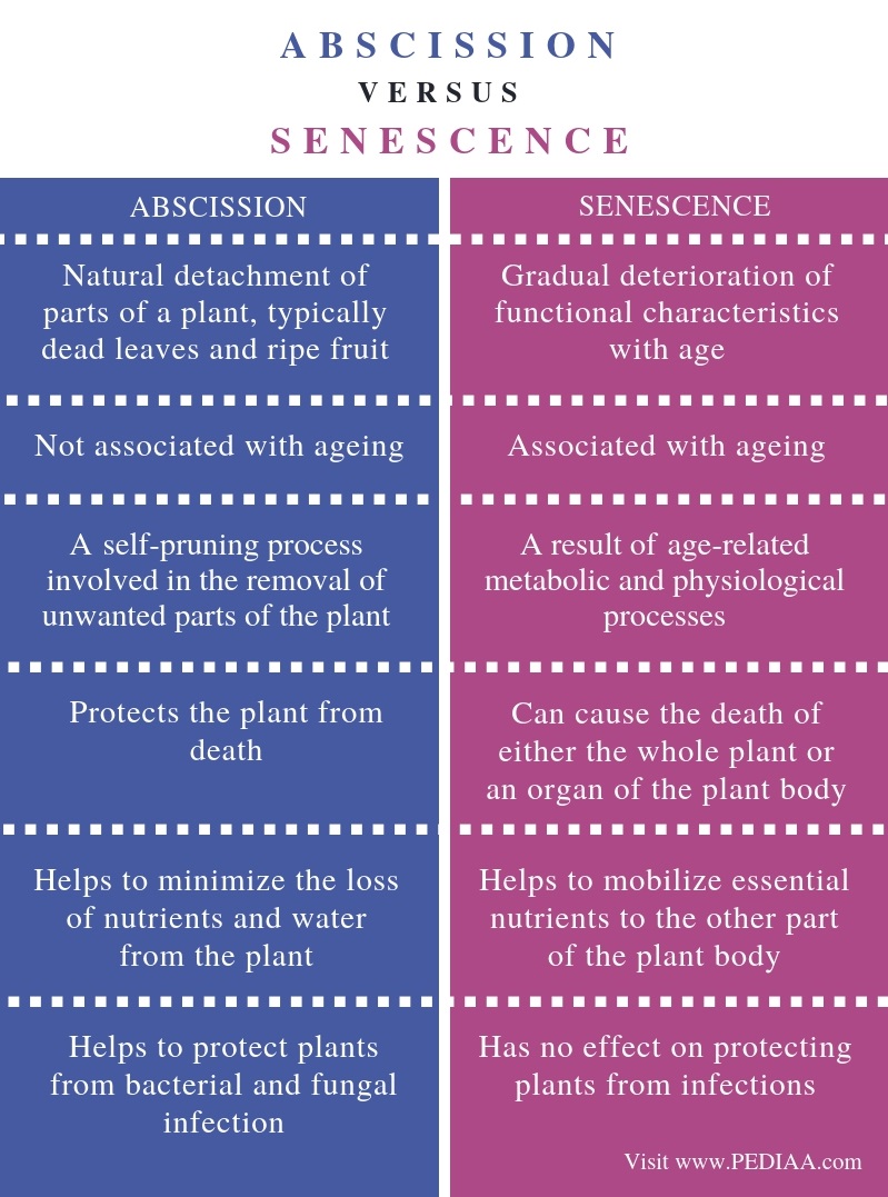 What is the Difference Between Abscission and Senescence - Pediaa.Com