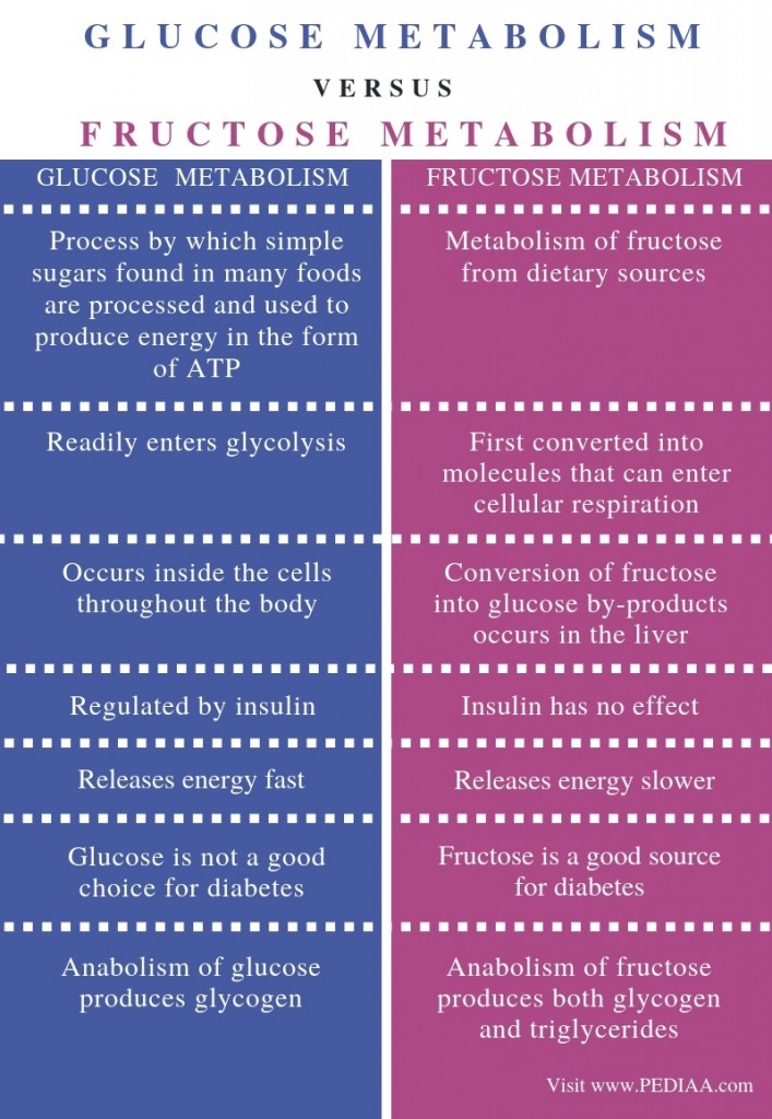 What is the Difference Between Glucose and Fructose Metabolism - Pediaa.Com