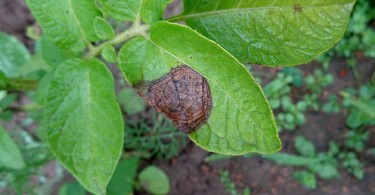 Pediaa.Com - Page 250 of 679 - Know about Anything