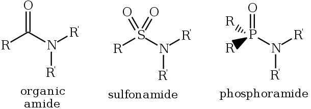 What is the Difference Between Amide and Peptide Bond - Pediaa.Com What is the Difference Between Amide and Peptide Bond - Pediaa.Com