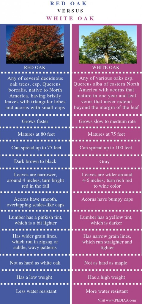 What is the Difference Between Red Oak and White Oak - Pediaa.Com