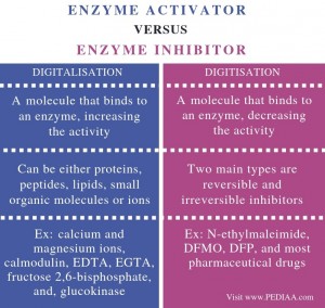 What is the Difference Between Enzyme Activator and Enzyme Inhibitor ...