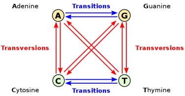 Biology Archives - Page 60 of 172 - Pediaa.Com
