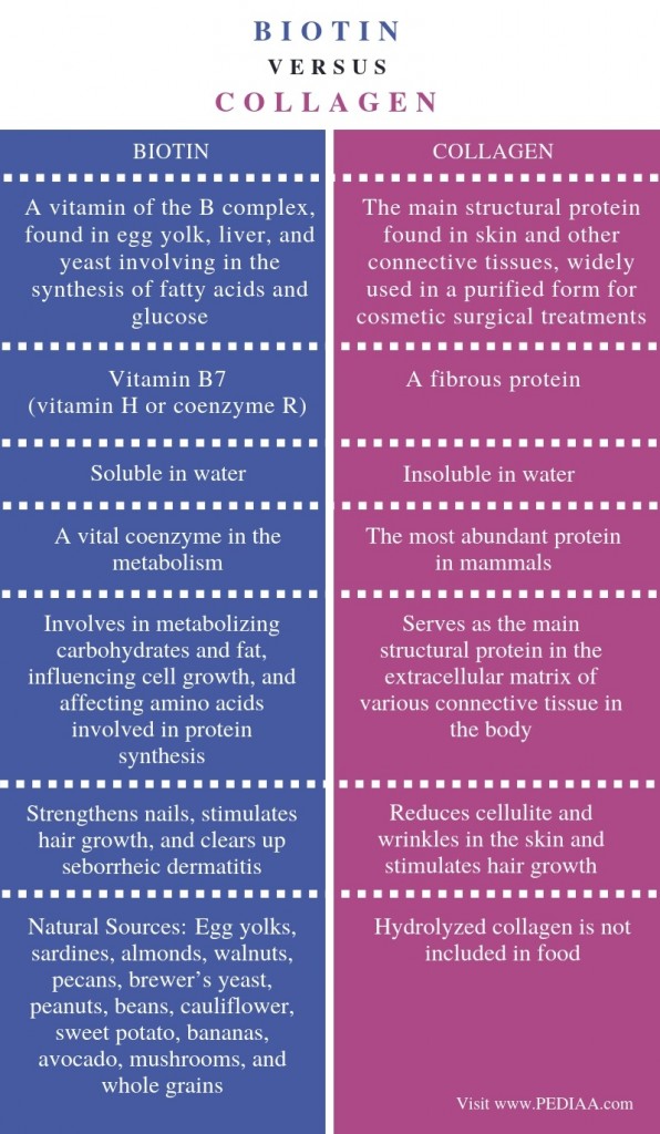 What is the Difference Between Biotin and Collagen - Pediaa.Com What is the Difference Between Biotin and Collagen - Pediaa.Com