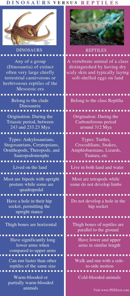 What is the Difference Between Dinosaurs and Reptiles - Pediaa.Com