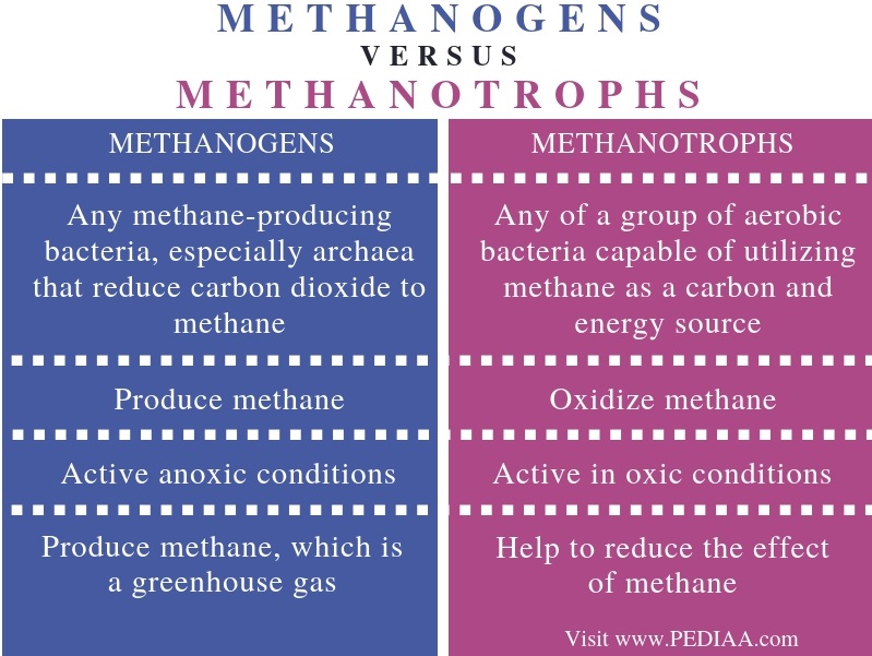 What is the Difference Between Methanogens and Methanotrophs - Pediaa.Com