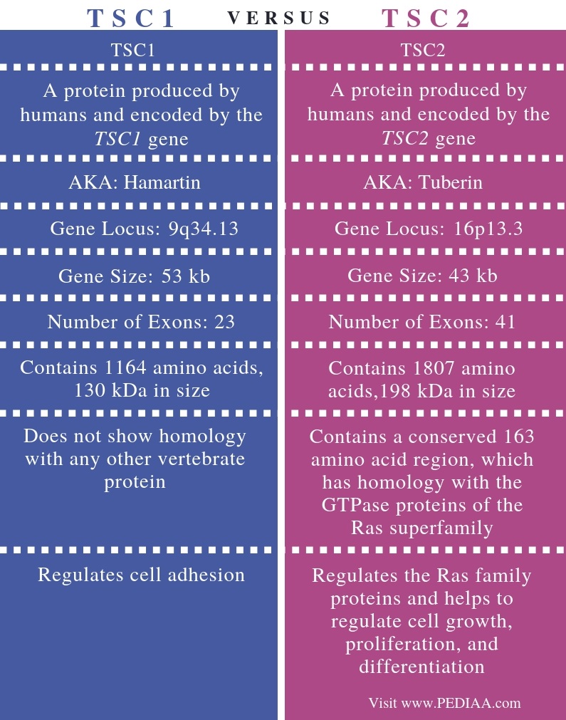 What is the Difference Between TSC1 and TSC2 - Pediaa.Com