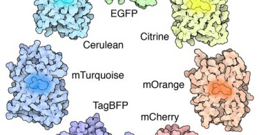 Pediaa.Com - Page 157 of 620 - Know about Anything