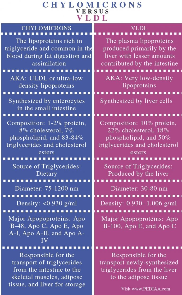 What is the Difference Between Chylomicrons and VLDL - Pediaa.Com
