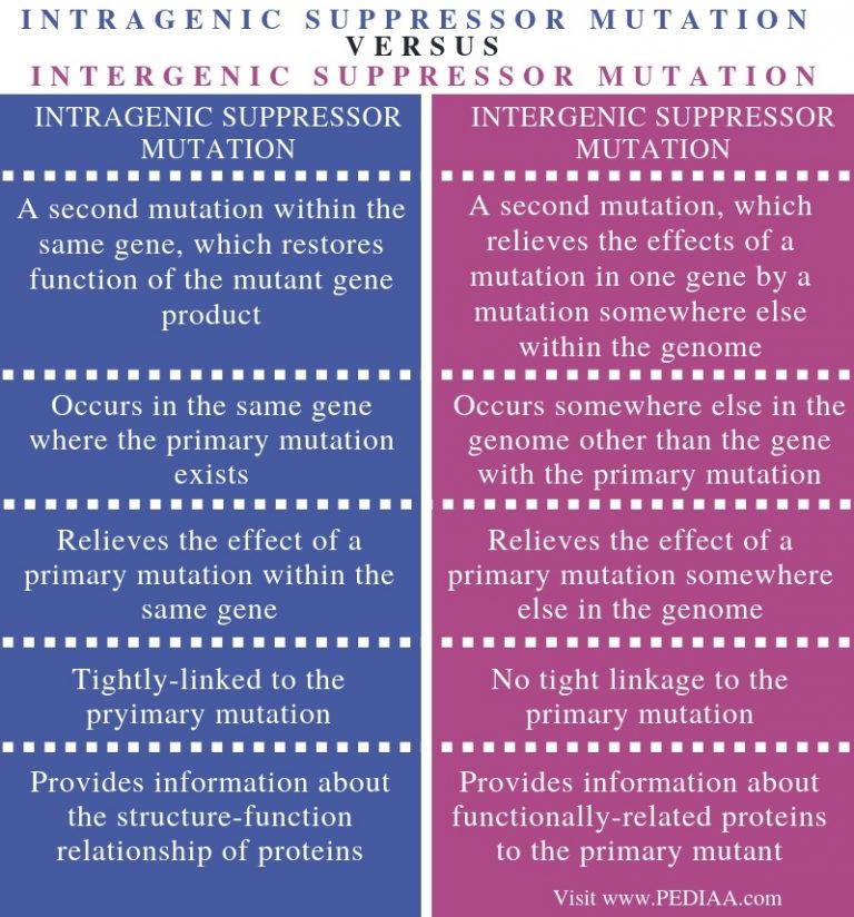 What is the Difference Between Intragenic and Intergenic Suppressor ...