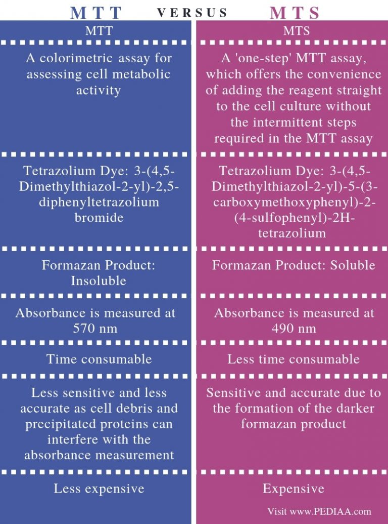 Difference Between MTT and MTS Assay
