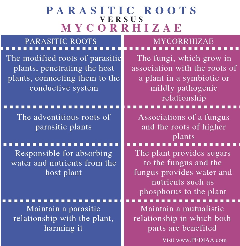 Difference Between Parasites And Parasitoids Definition