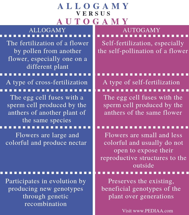 What is the Difference Between Allogamy and Autogamy - Pediaa.Com
