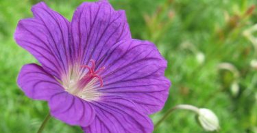 Pediaa.Com - Page 126 of 610 - Know about Anything