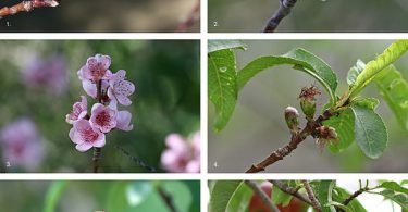 Pediaa.Com - Page 196 of 680 - Know about Anything