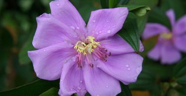 Pediaa.Com - Page 126 of 610 - Know about Anything