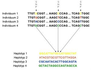 What is the Difference Between SNP and Mutation - Pediaa.Com
