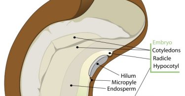 Pediaa.Com - Page 205 of 688 - Know about Anything