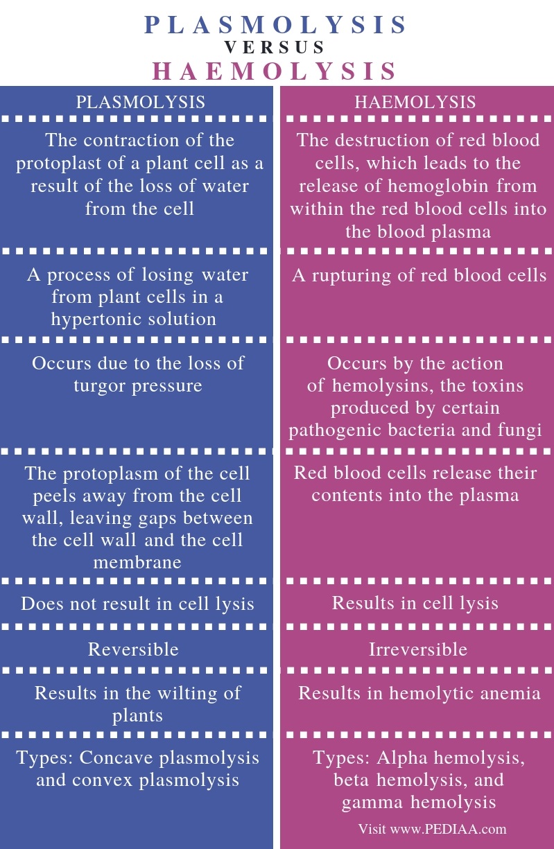 What is the Difference Between Plasmolysis and Haemolysis - Pediaa.Com
