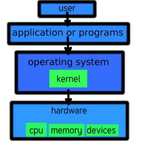 What is the Difference Between Preemptive and Nonpreemptive Kernel ...