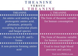 What is the Difference Between Theanine and L Theanine - Pediaa.Com