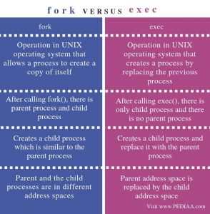 What is the Difference Between fork and exec - Pediaa.Com