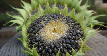 Pediaa.Com - Page 199 of 686 - Know about Anything